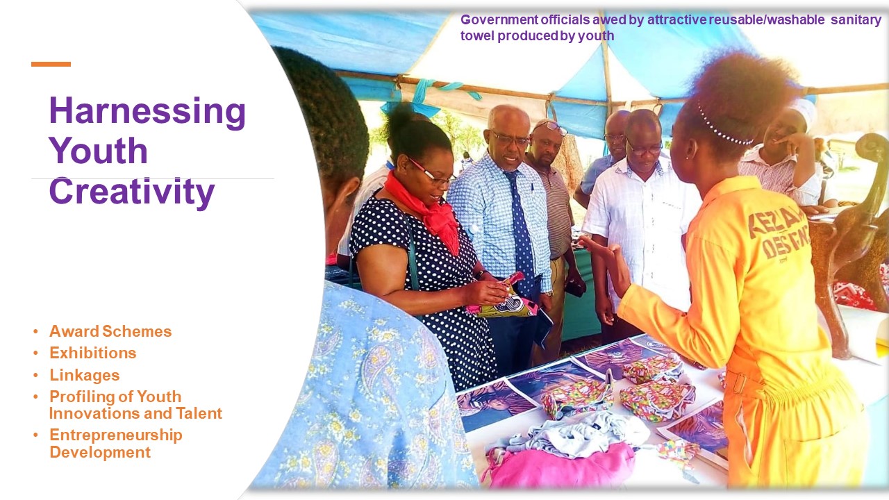 Youth Innovation & Talent Development – State Department for Youth ...